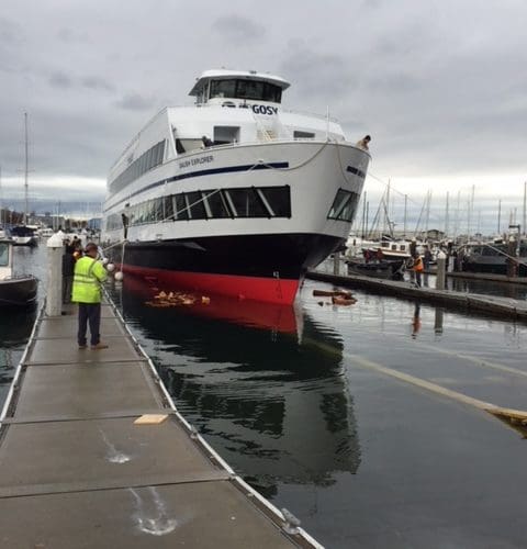 Salish Explorer - NEW Boat | Argosy Cruises