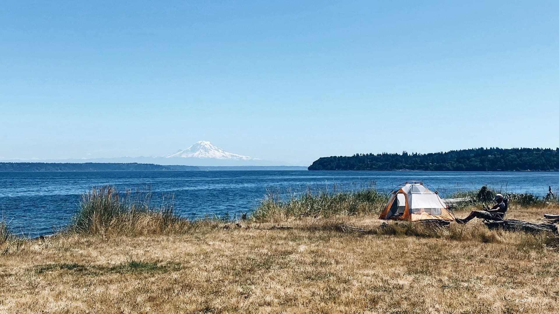 Seattle Boat Tours & Events - Fun Things To Do | Argosy Cruises