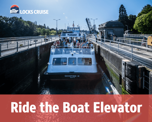 Argosy Cruises | Seattle Sightseeing - Boat Tours - Private Charters